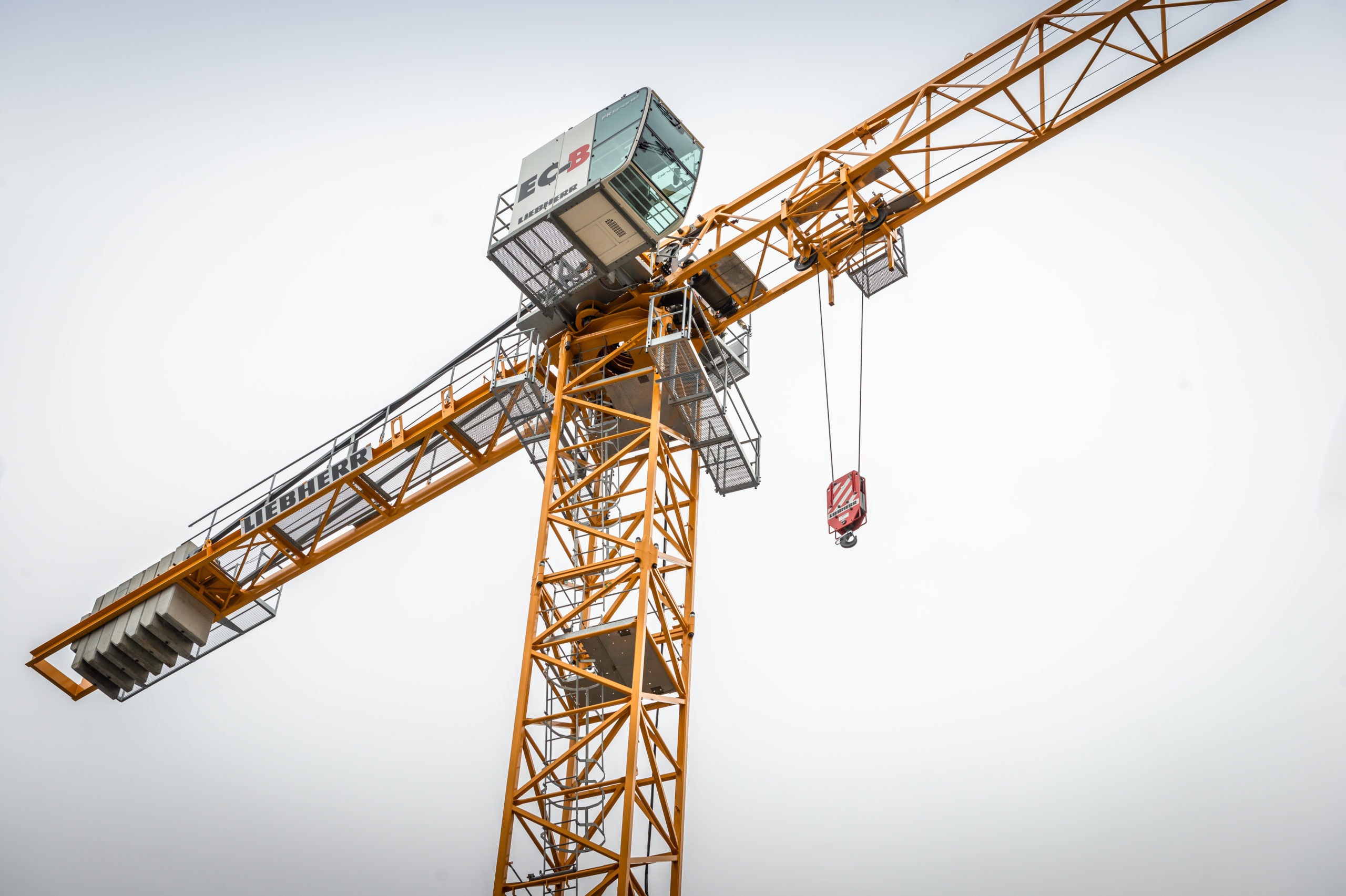 Grutier - Association Valaisanne des Entrepreneurs - Association des ...